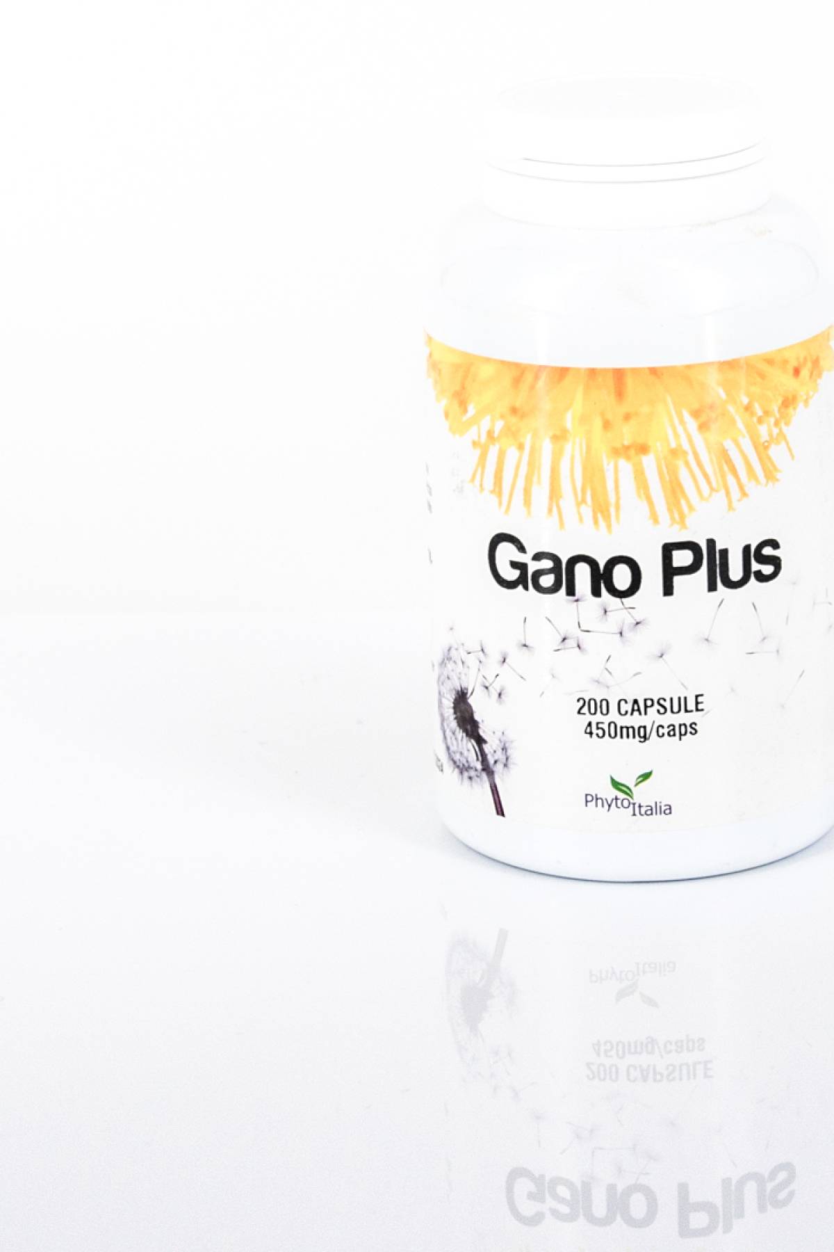 PhytoItalia.it - Integratori alimentari, functional foods e piante ...